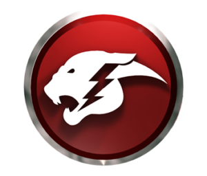 Protect Yourself with Cheetah Stun Guns: The Best Choice for Personal ...